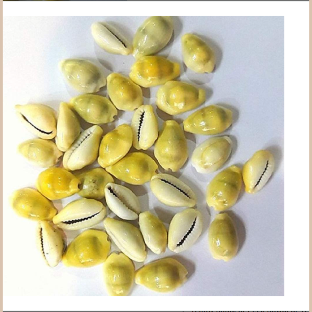 Yellow Koudi - Peeli Kouri - Energized 100 Pieces – astrogurusubhash.store